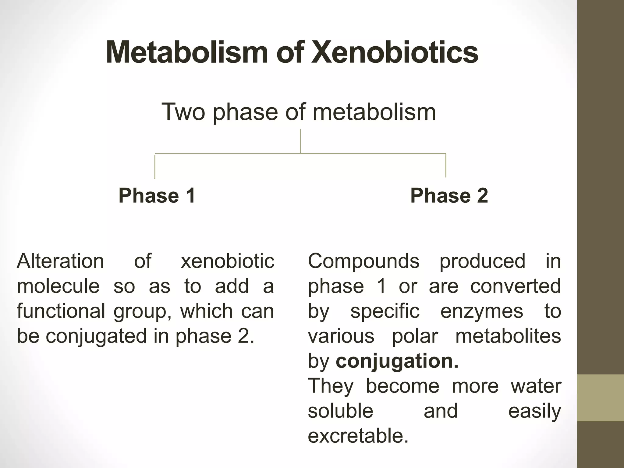 Metabolism of xenobiotics | PPTX
