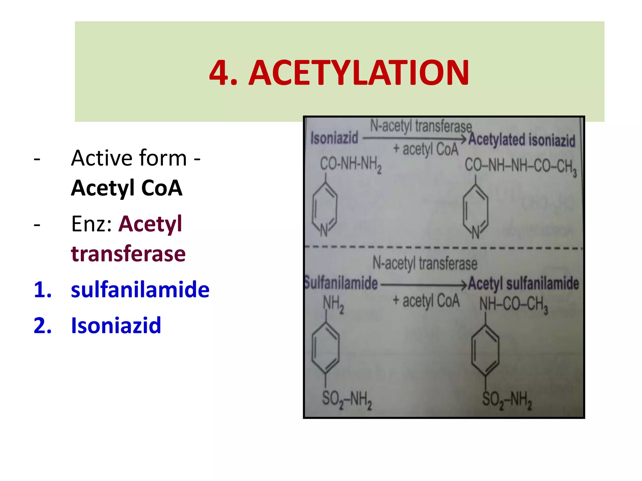 METABOLISM OF XENOBIOTICS - MBBS.ppt