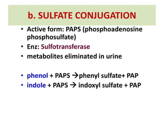 METABOLISM OF XENOBIOTICS - MBBS.ppt