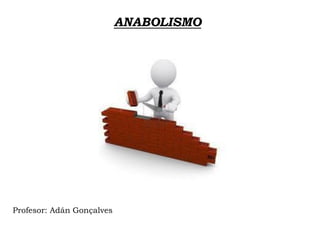 Metabolismo iii anabolismo | PPT