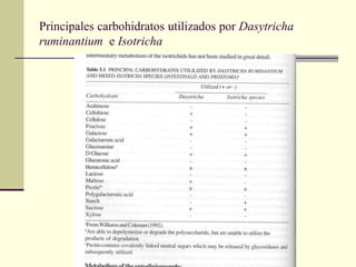Metabolismo nutricion y crecimiento de protozoarios ruminales.ppt