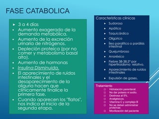 Etapas Del Metabolismo
