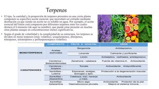 METABOLISMO VEGETAL 3.pptx ddgfddssssssssssssssssssss | PPTX