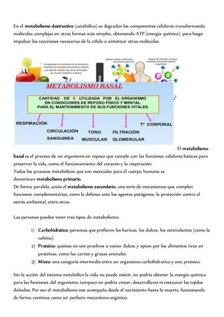 Metabolismo y la nutricion | DOCX