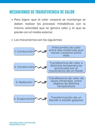 Metabolismo y nutrición | PDF
