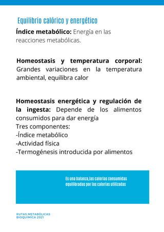 Metabolismo y nutricion | PDF