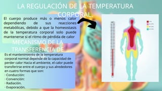 METABOLISMO y NUTRICION MOROFOFISIOLOGIA | PPTX