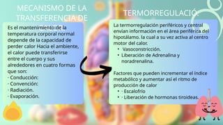 METABOLISMO y NUTRICION MOROFOFISIOLOGIA | PPTX