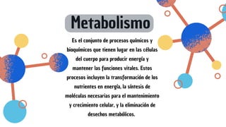 Metabolismo Y Respiración Celular 20240122 011507 0000 Pdf