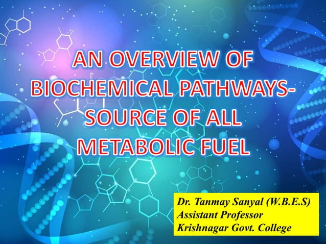 AN OVERVIEW OF BIOCHEMICAL PATHWAYS- SOURCE OF ALL METABOLIC FUEL | PPT