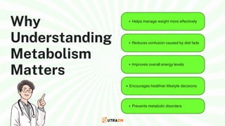Metabolism Myths vs Science: Understanding How Your Body Really Burns ...