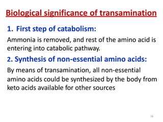 Metabolism protein | PPTX | Digestive Disorders | Diseases and Conditions