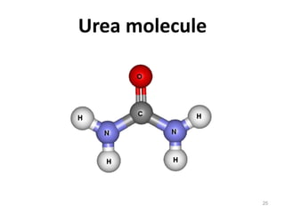 Metabolism protein | PPTX