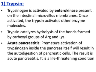 Metabolism protein | PPTX