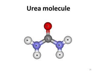 Metabolism of protein | PPTX