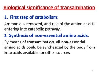 Metabolism of protein | PPTX