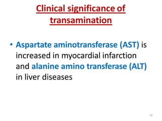 Metabolism of protein | PPTX