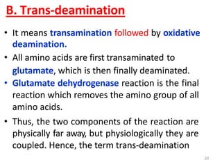 Metabolism of protein | PPTX