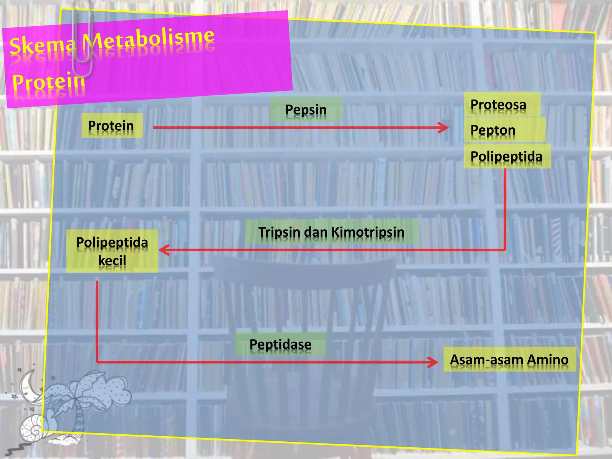 Metabolism schema | PPTX