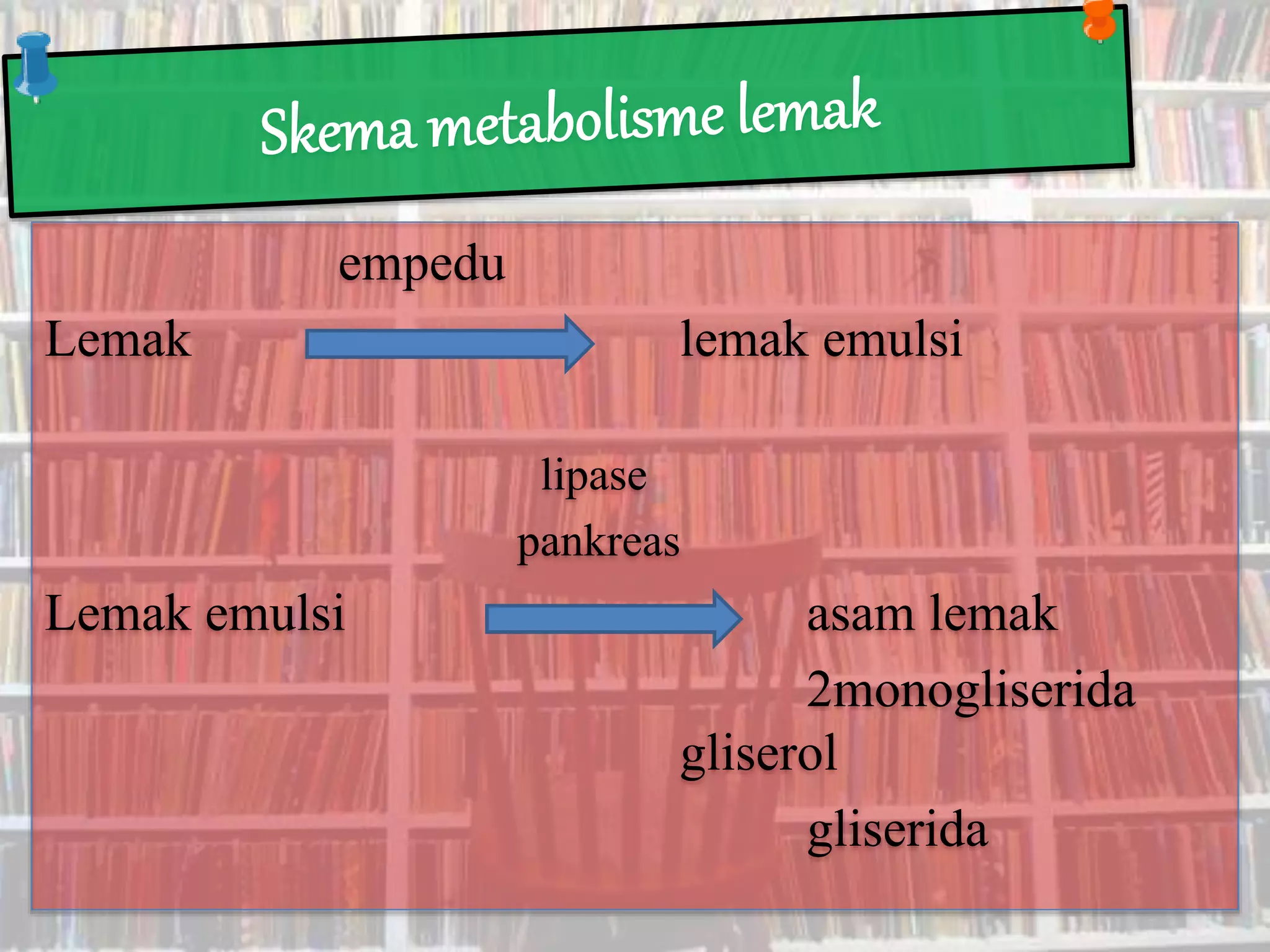Metabolism schema | PPTX