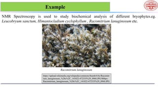 techniques used in Metabolite profiling of bryophytes ppt | PPT