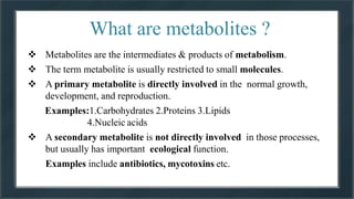 primary and secondary metabolites | PPTX