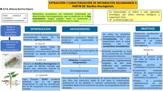 Metabolitos primarios y secundarios en organismos biotecnologia | PDF