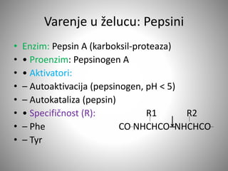 Metabolizam aminokiselina | PPT