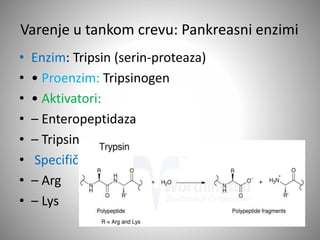 Metabolizam aminokiselina | PPT