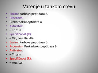 Metabolizam aminokiselina | PPT