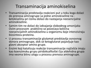 Metabolizam aminokiselina | PPT