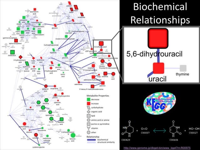 Metabolomic data analysis and visualization tools | PPT
