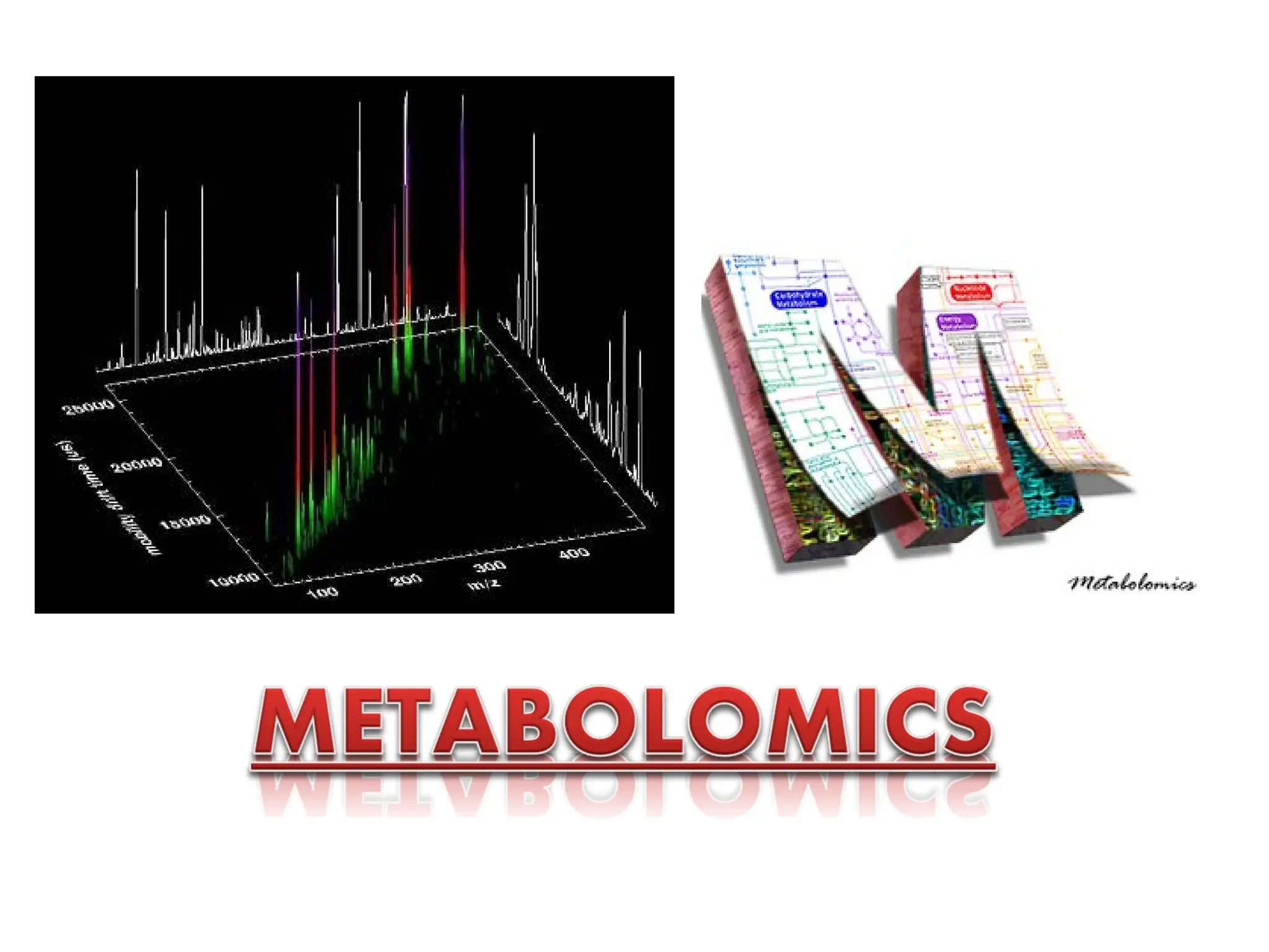 difference between metabolomic&proteomics.ppt