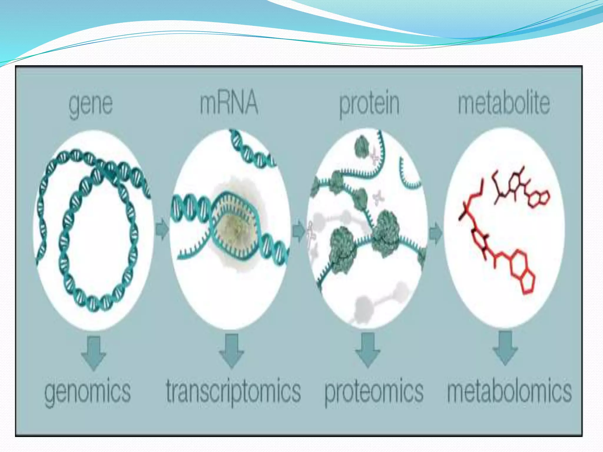 Metabolomics | PPTX