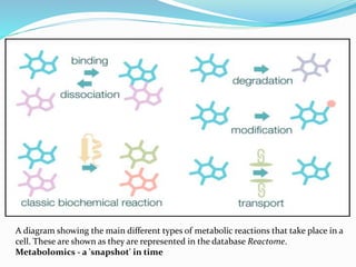 Metabolomics | PPTX