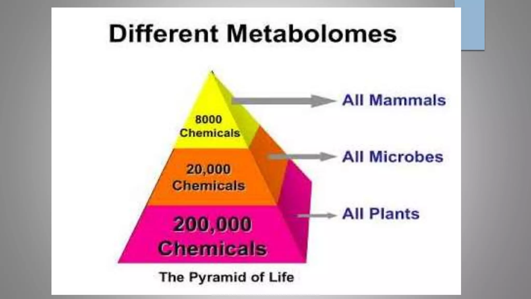Metabolomics | PPTX