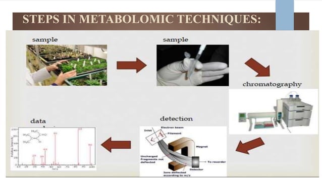 Metabolomics | PPTX