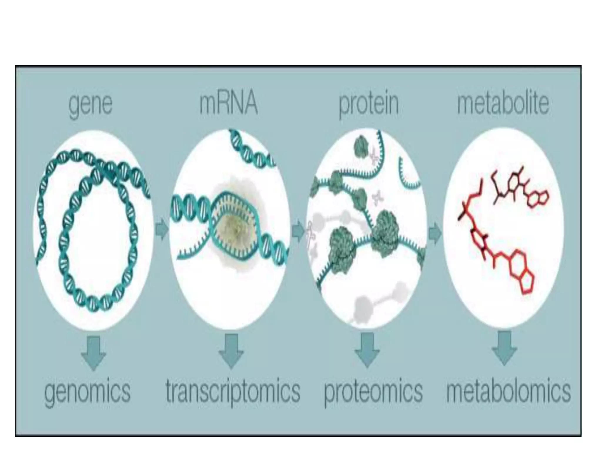 Metabolomics | PDF