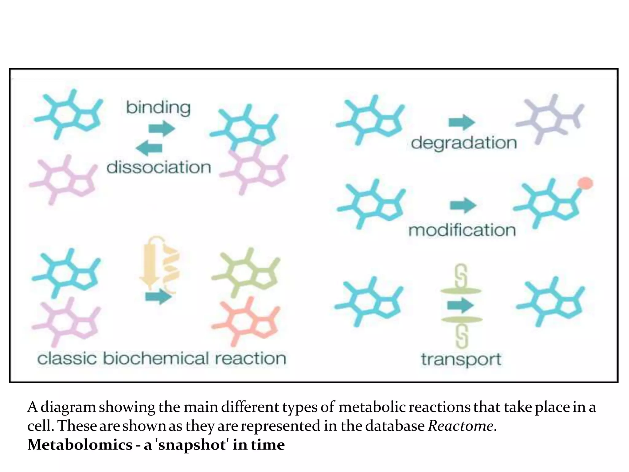 Metabolomics | PDF