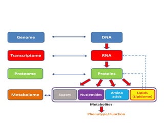 Metabolomics | PDF