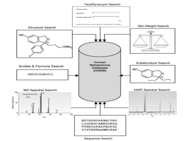 Metabolomics.ppt molecular biology ( botany) | PPT