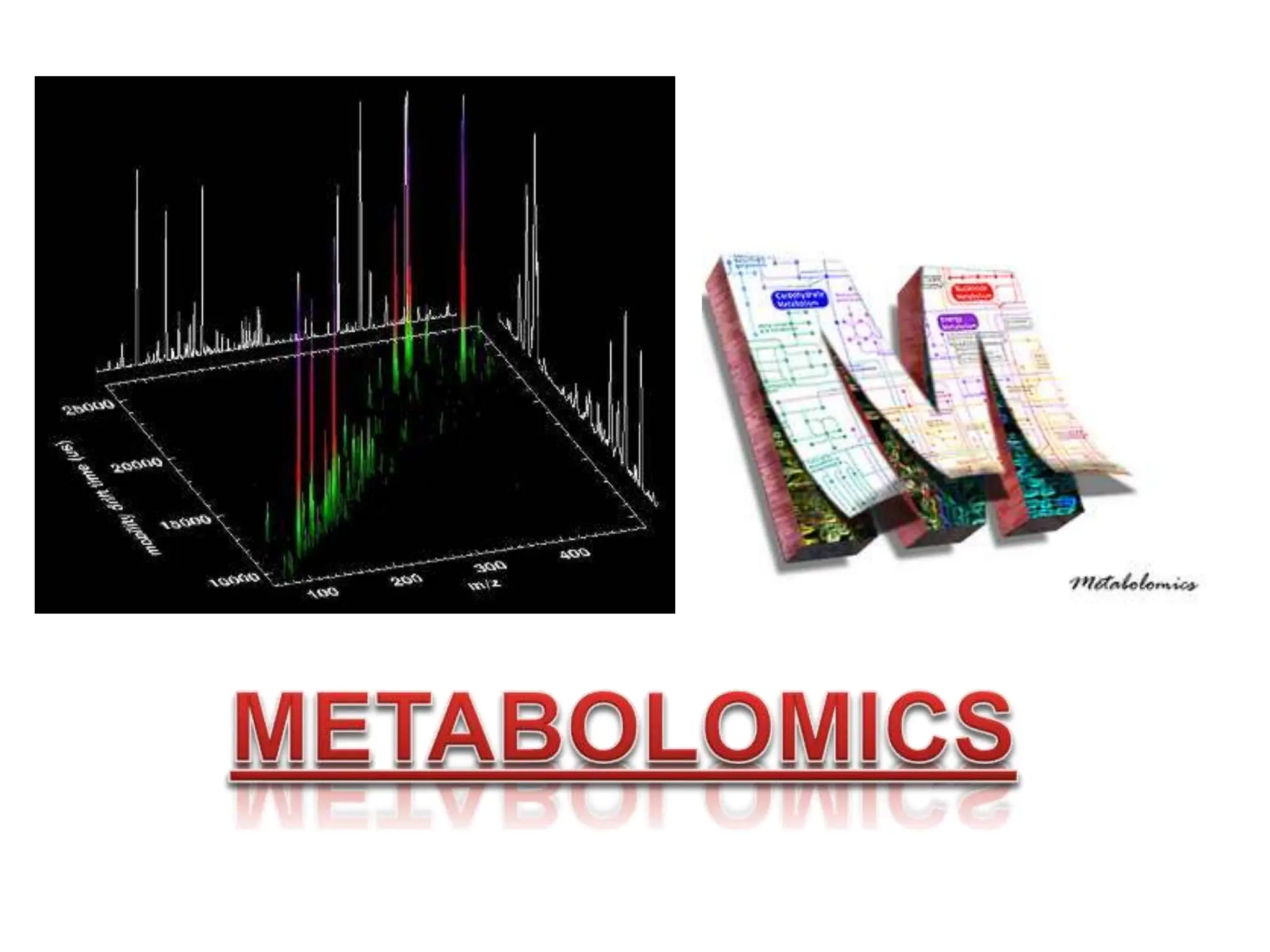 metabolomics_techniques_approaches_methods | PPT