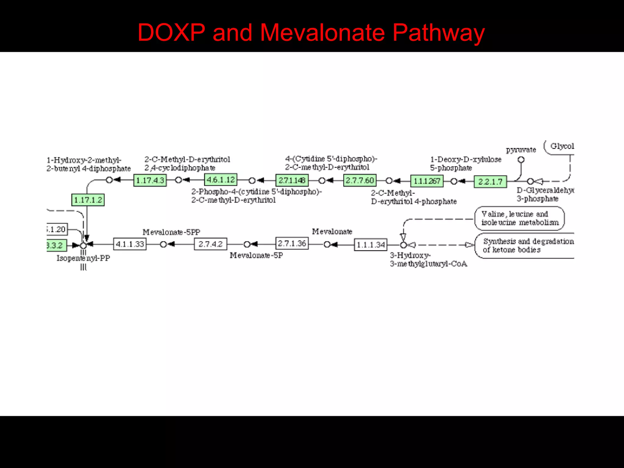 Metabolomics for finding new drug targets | PPT