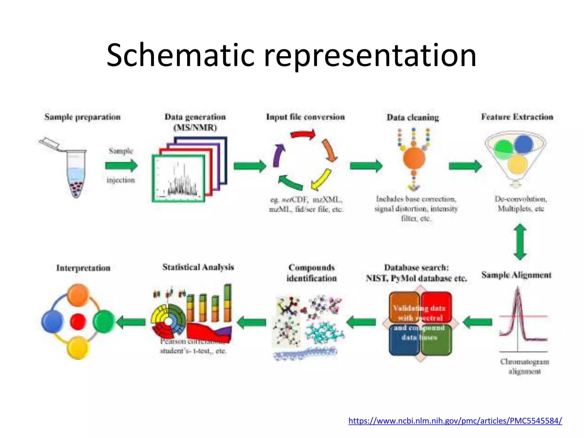 Metabolomics For Plant Improvement : Status And Prospects | PPTX