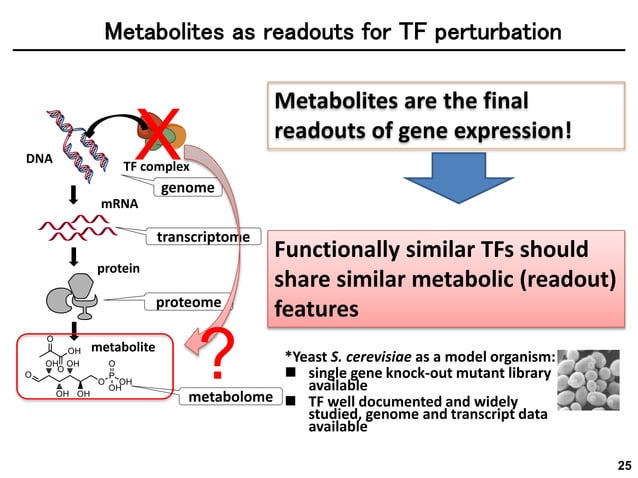 Metabolomics basics_MKKB1103_biotech for engineers | PPTX