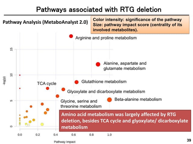 Metabolomics basics_MKKB1103_biotech for engineers | PPTX