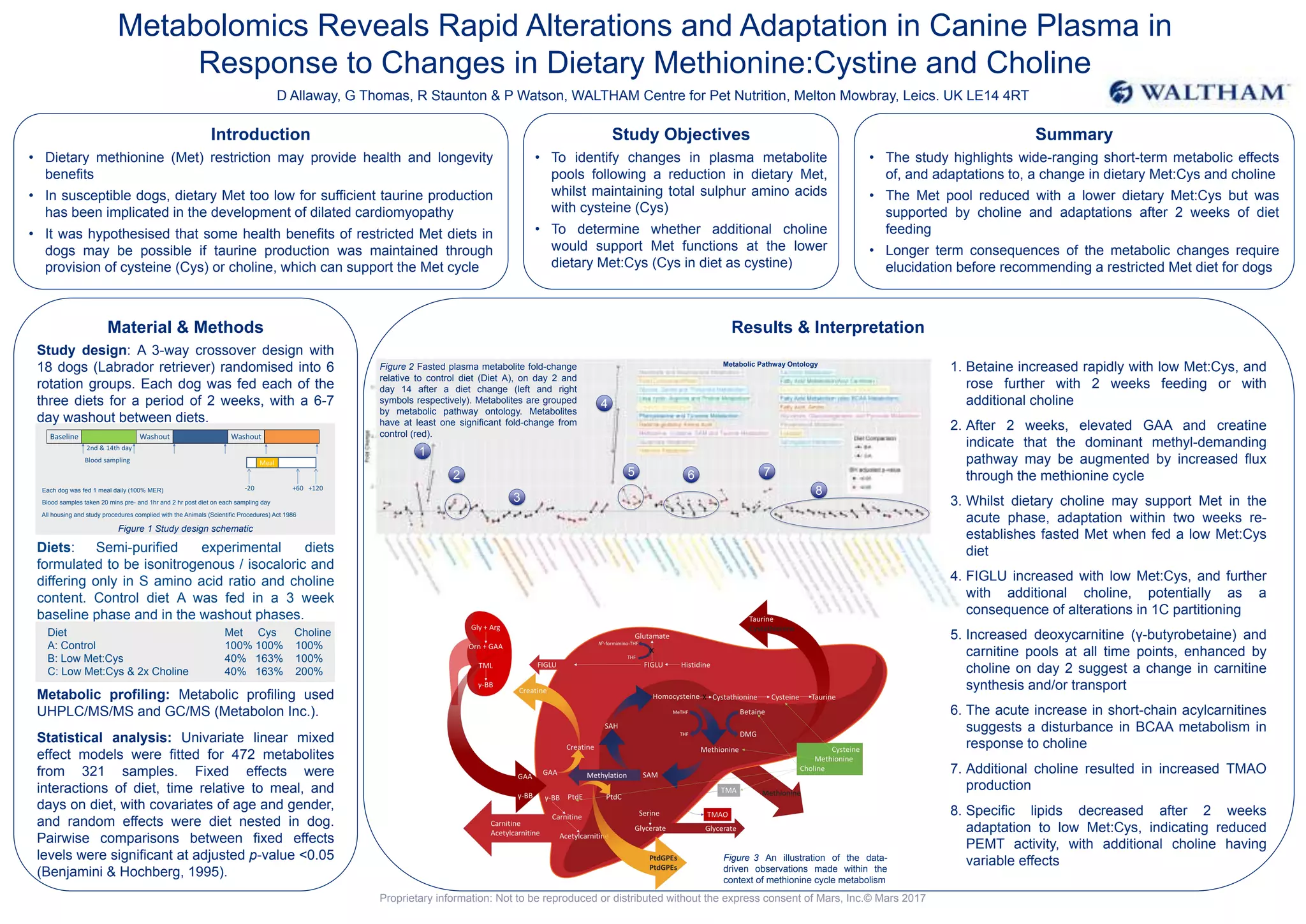 Metabolomics reveals rapid alterations and adaptations in canine plasma ...