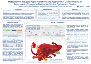 Metabolomics reveals rapid alterations and adaptations in canine plasma ...