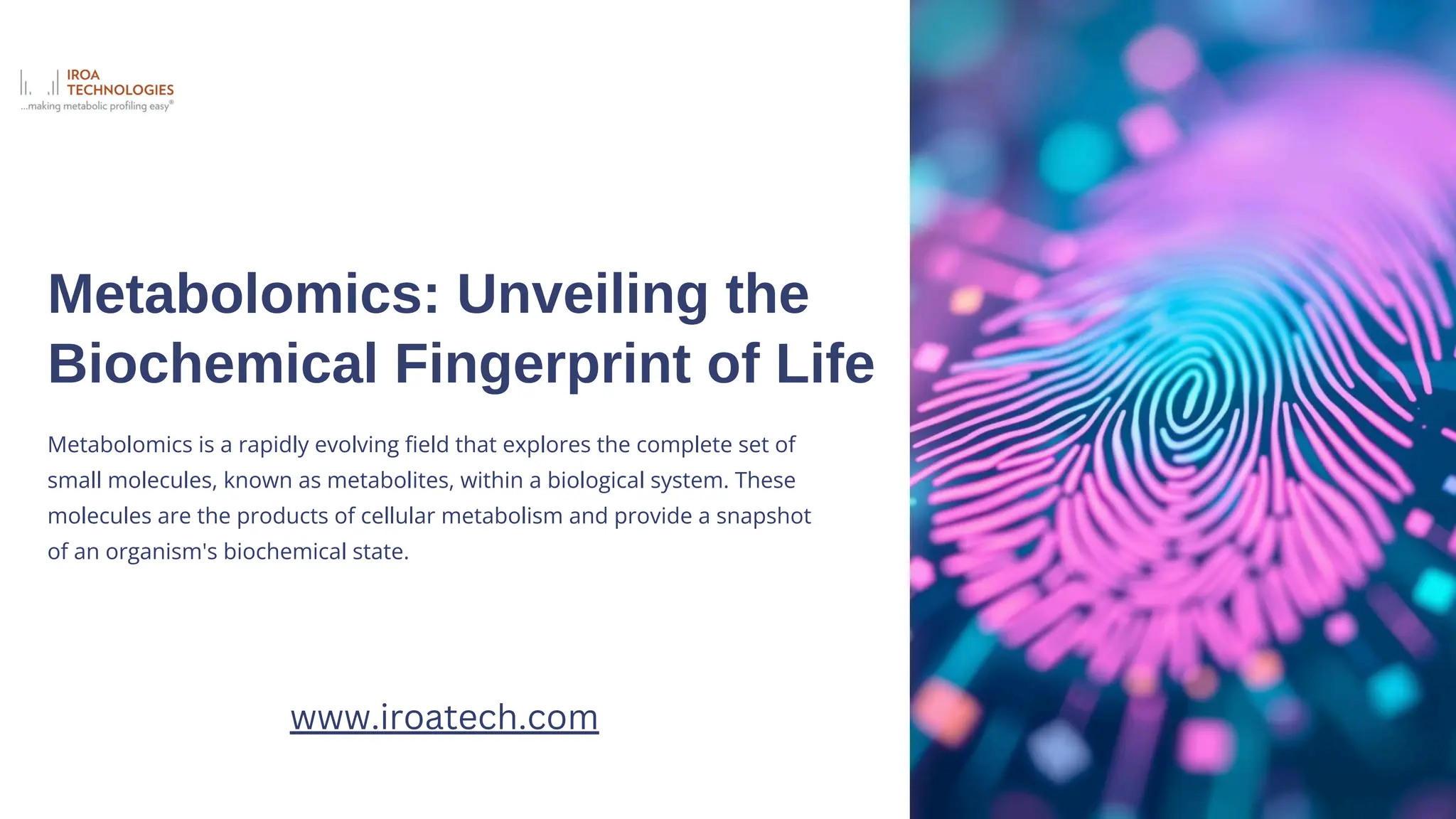 Metabolomics Unveiling the Biochemical Fingerprint of Life.pdf
