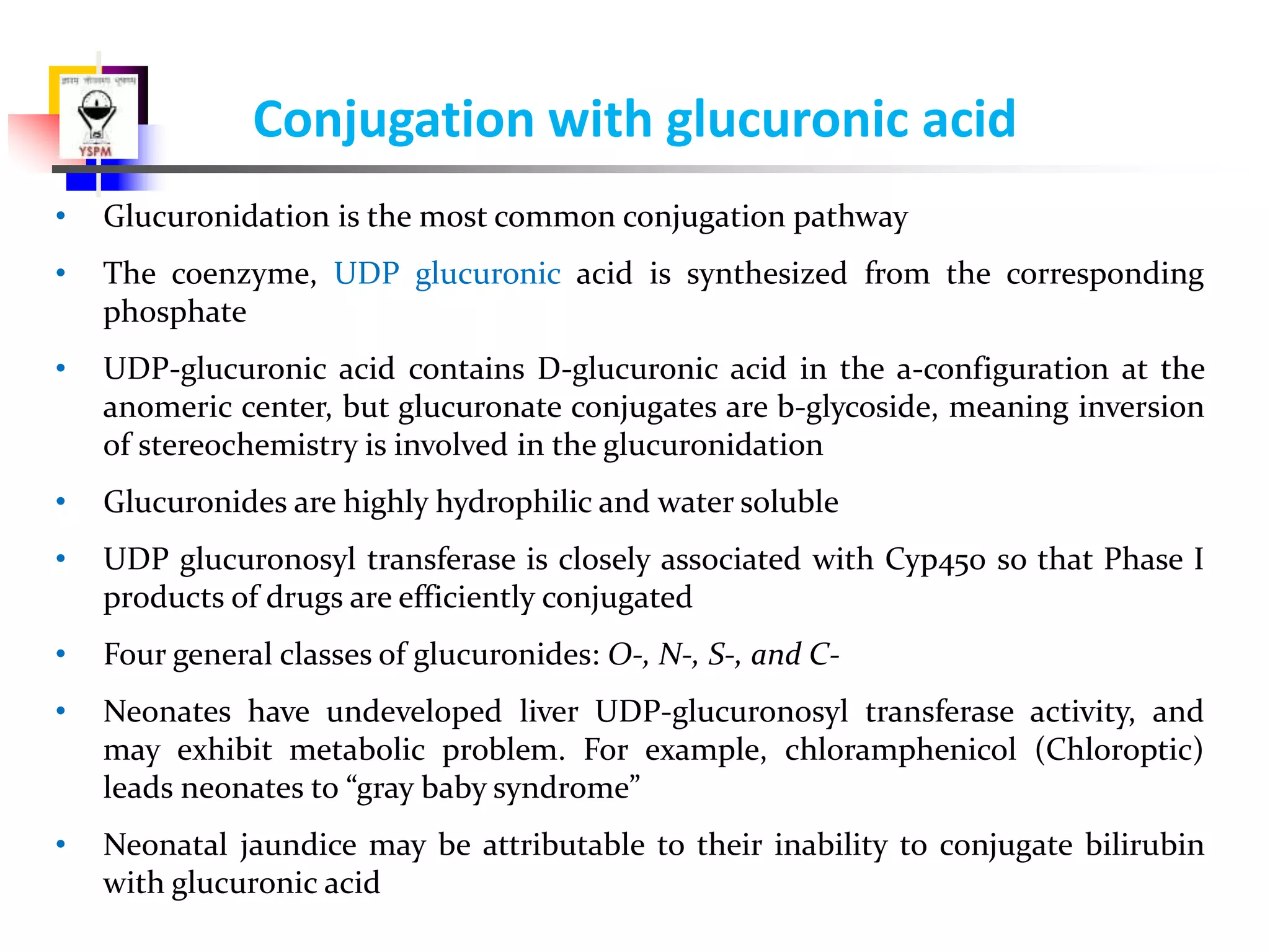 Metabolism II | PPTX